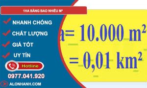 1ha bằng bao nhiêu m2